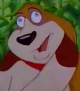 Rover Dangerfield | 1983Movies Wiki | Fandom