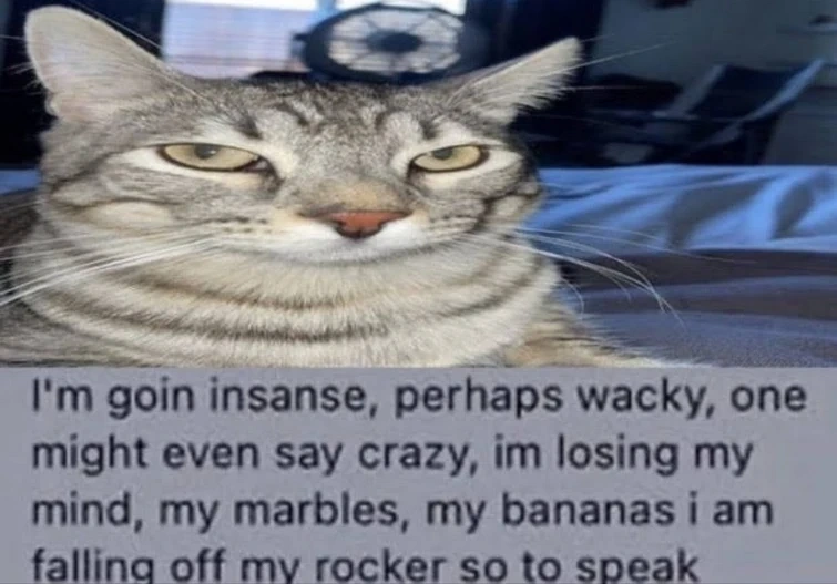 Have you ever showed your brother a funny pfp of a "wrong number" but ...