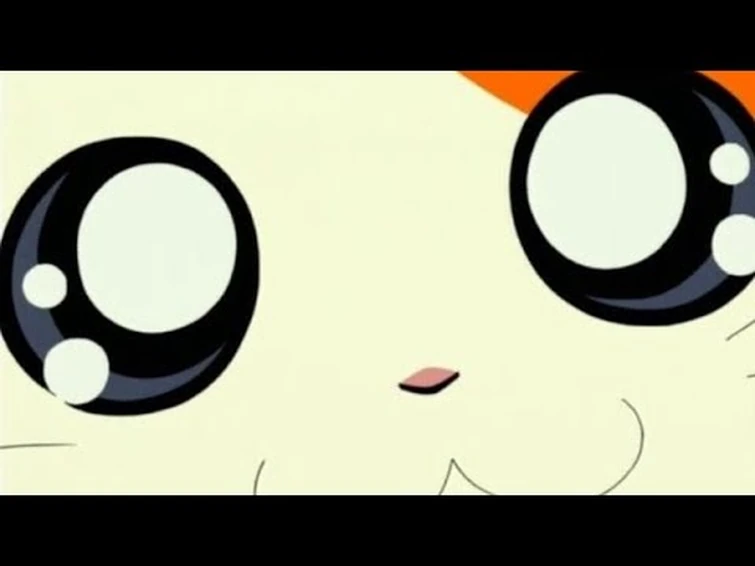 Discuss Everything About The Hamtaro Wiki | Fandom