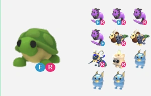 LF FR Turtle | Fandom