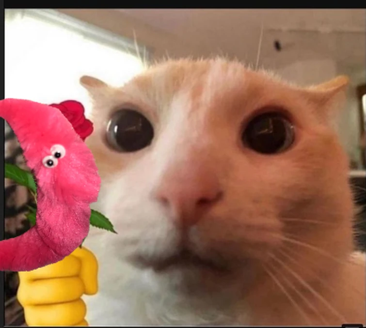 HELPPPPPPPPPP | Fandom