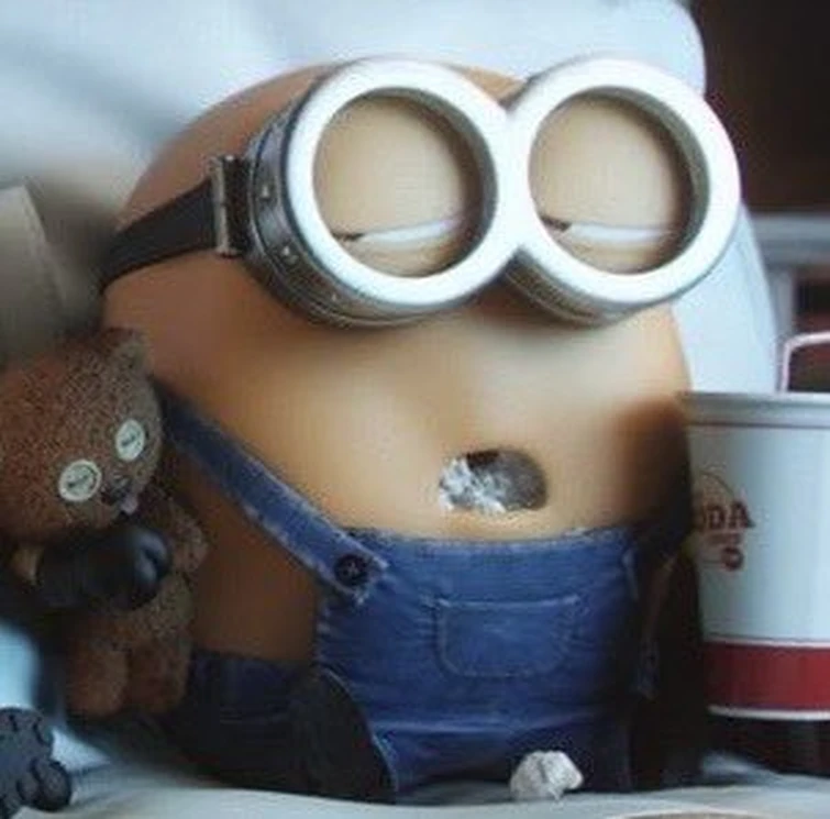Why do people say that Bob is a plump minion? | Fandom