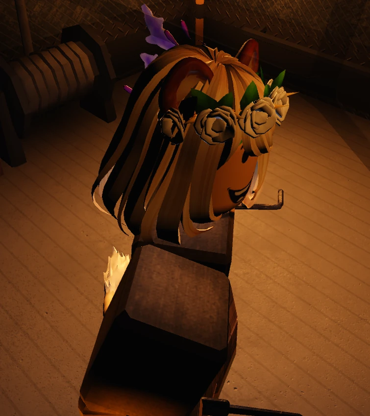 Discuss Everything About DOORS Wiki | Fandom