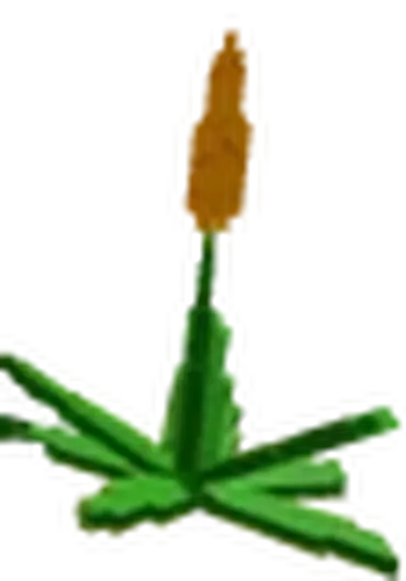 CROP BATTLE #30 | Fandom