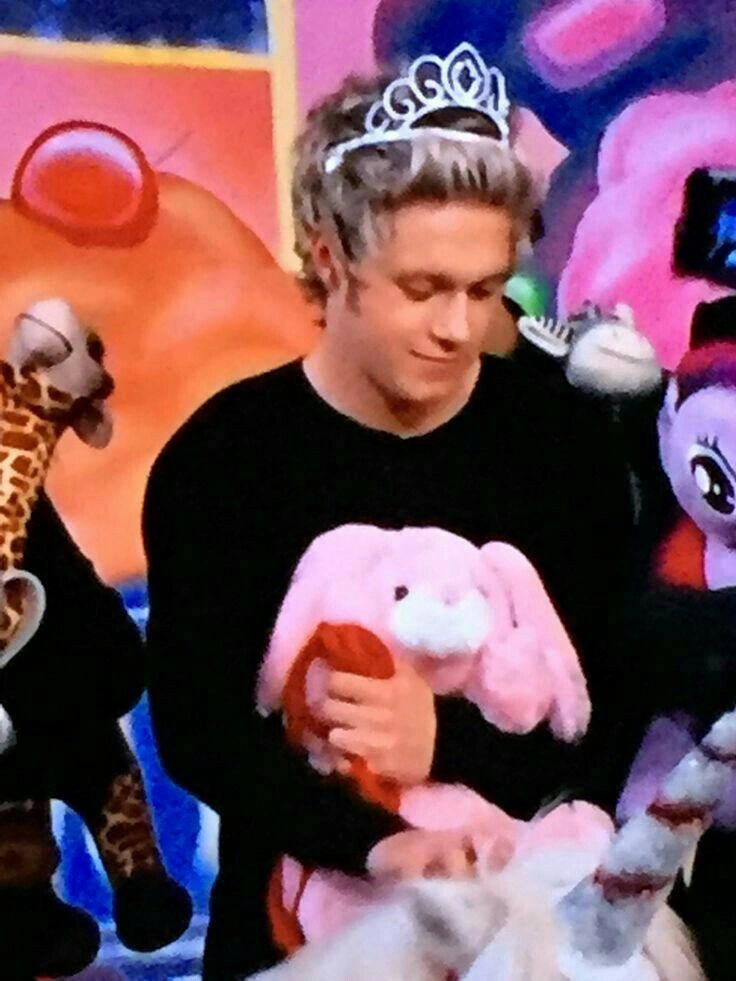 HAPPY BIRTHDAY NIALLER | Fandom