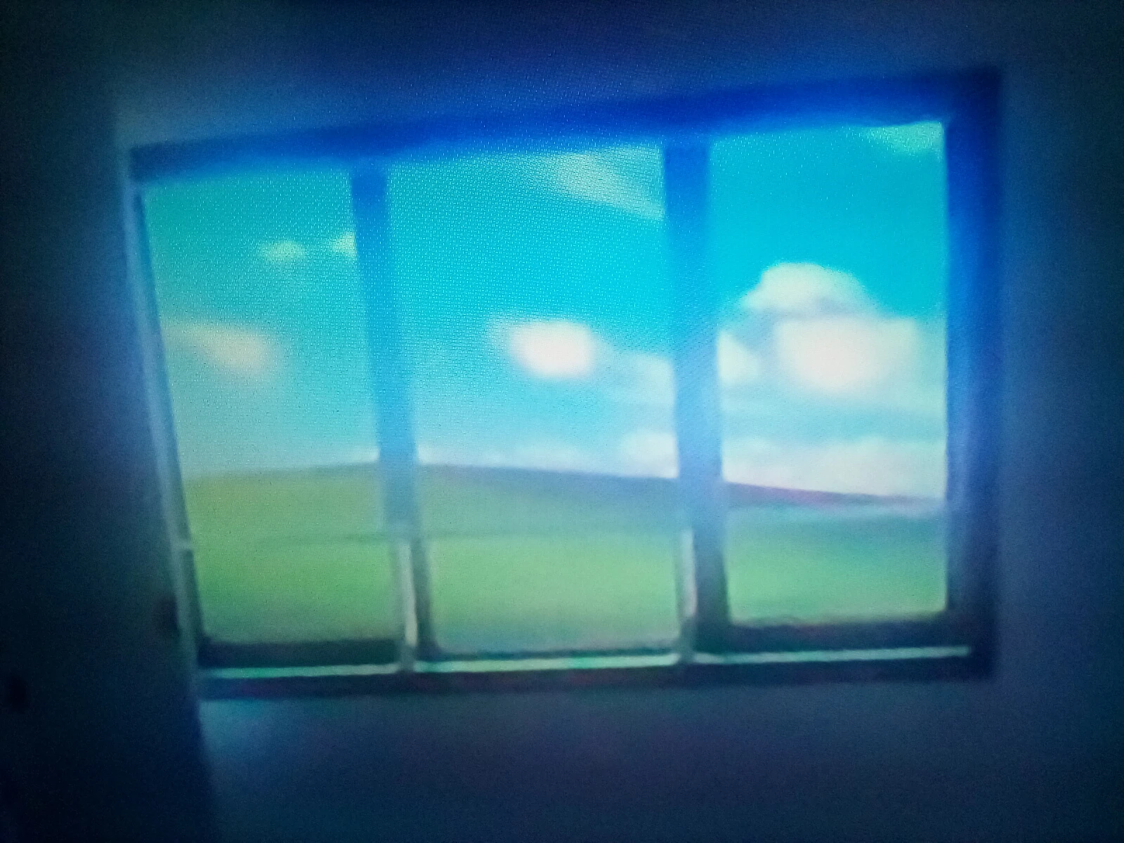 GUYS HELP TOGFE IS OUTSIDE MY WINDOW!! | Fandom