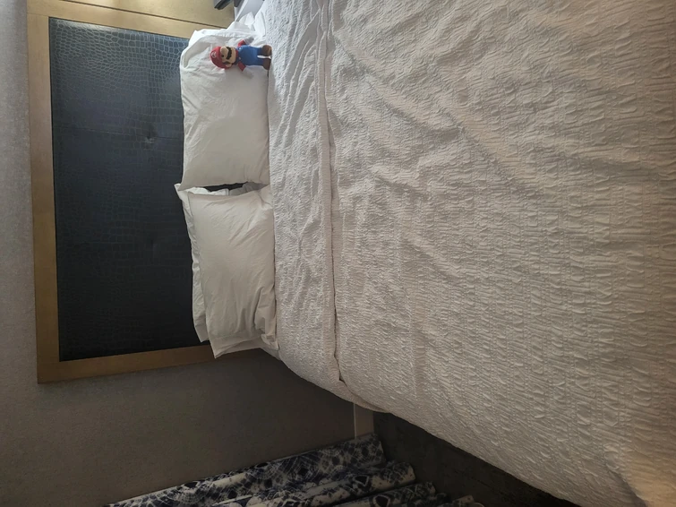 look at these beds what the fuck /pos | Fandom