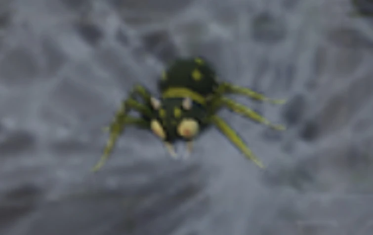 Genshin spiders are kinda cute | Fandom