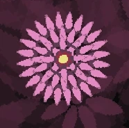 Hey Guys how to get big blossoms in levels | Fandom