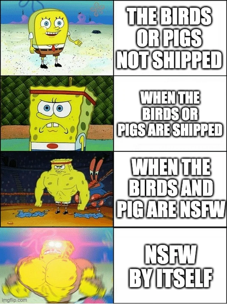 Angry Birds fanbase protrayed in my Spongebob Squarepants memes ...