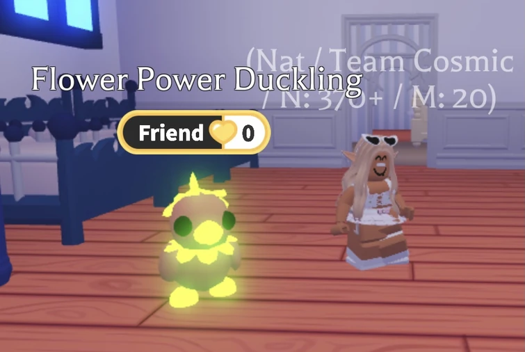 my fav pets ! ౨ৎ | Fandom