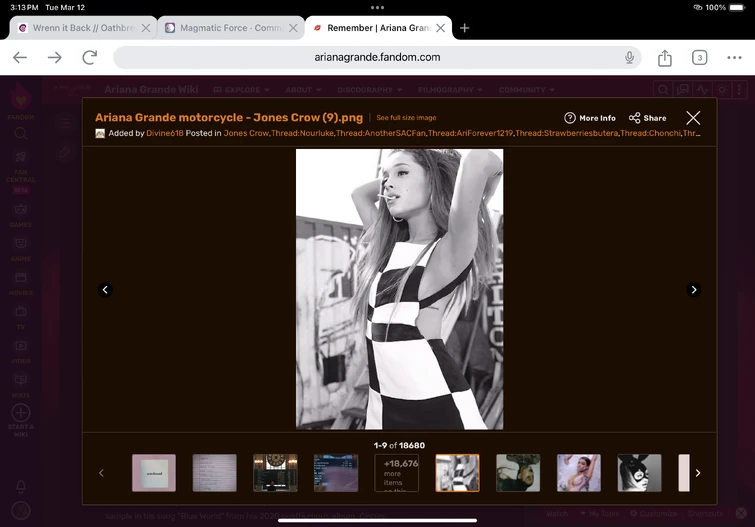Discuss Everything About Ariana Grande Wiki | Fandom