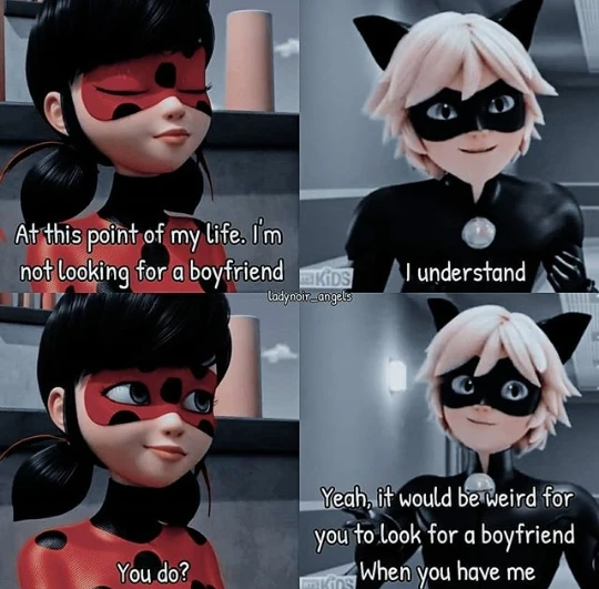 Day 31 - meme | Fandom