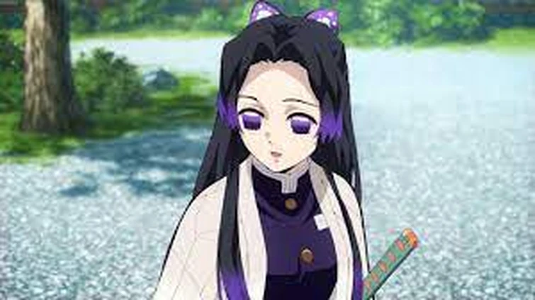 Has Shinobu Ever Let Her Hair Down Fandom