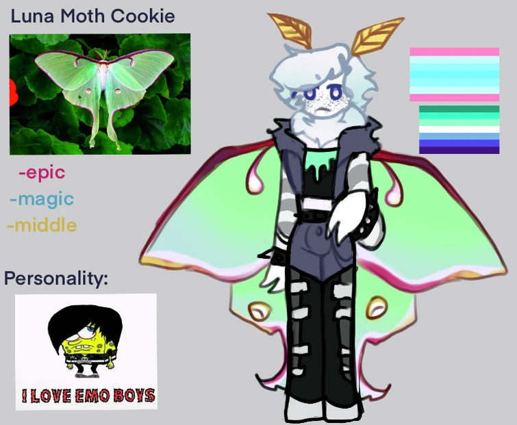 I made a bunch of designs for cookies based on moths | Fandom