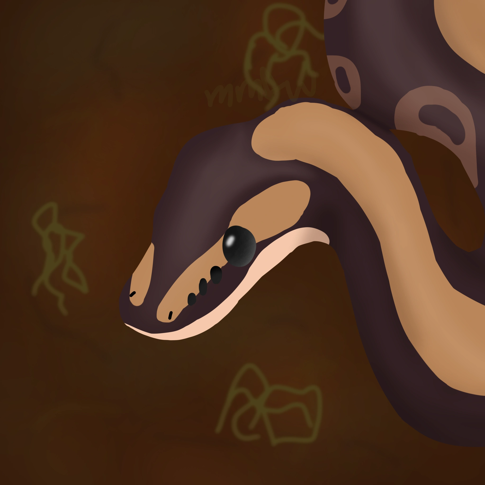 slither on over here and see this snake! | Fandom