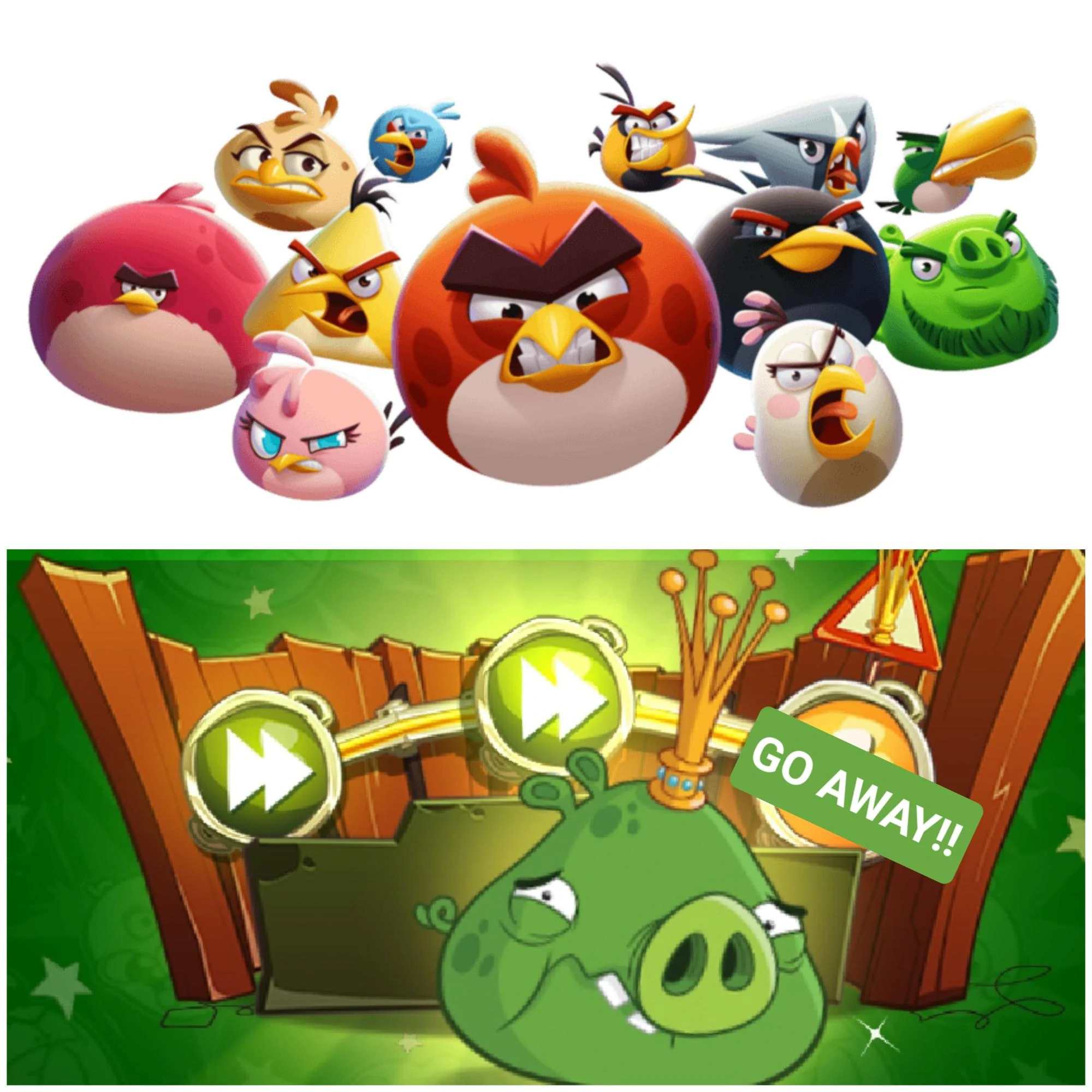 King Pig Is Scared Of The Angry Birds! | Fandom