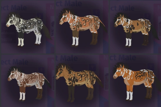 Cat horse variations | Fandom