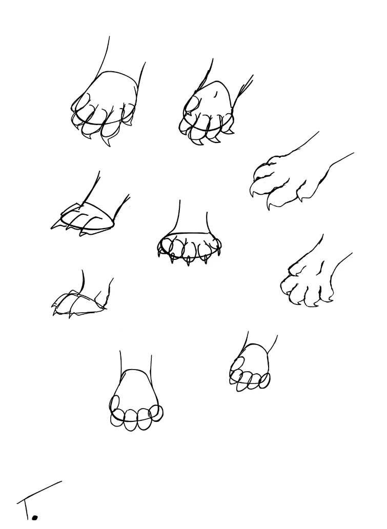 talon drawing guide! | Fandom