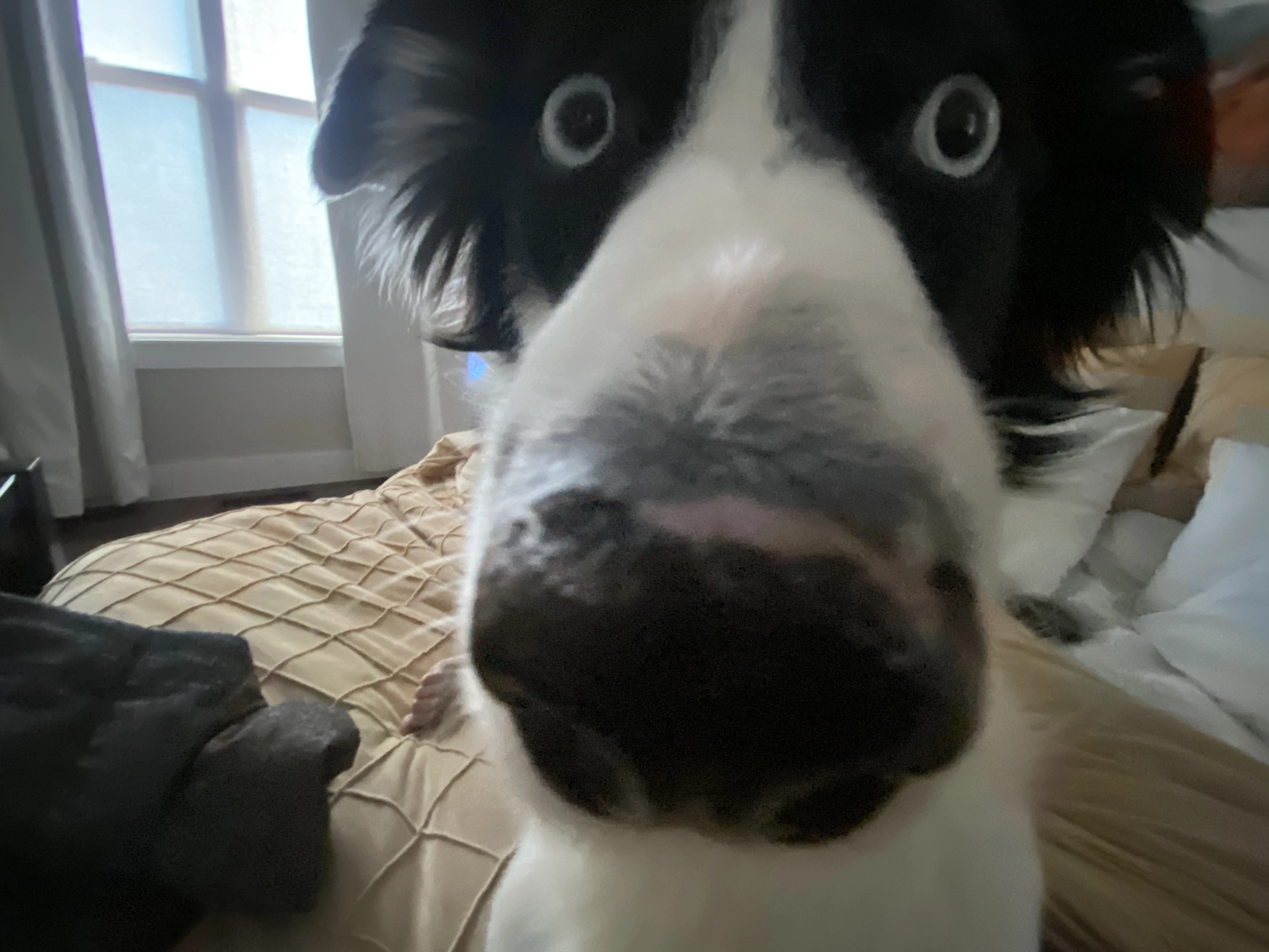 Num num num | Fandom