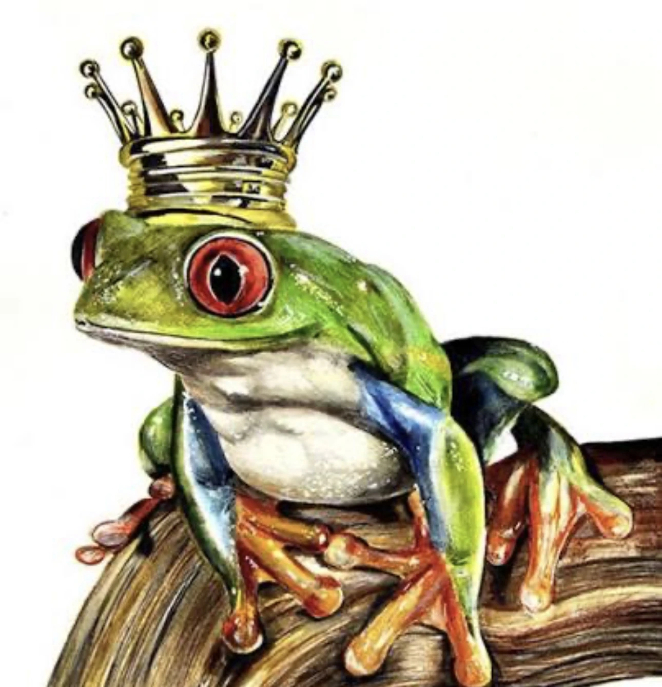 Episode 12 Shenanigans (spoilers) | Fandom