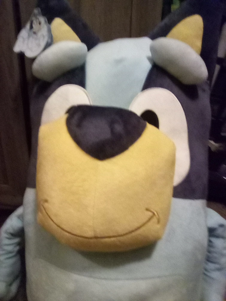 All my bluey stuff | Fandom