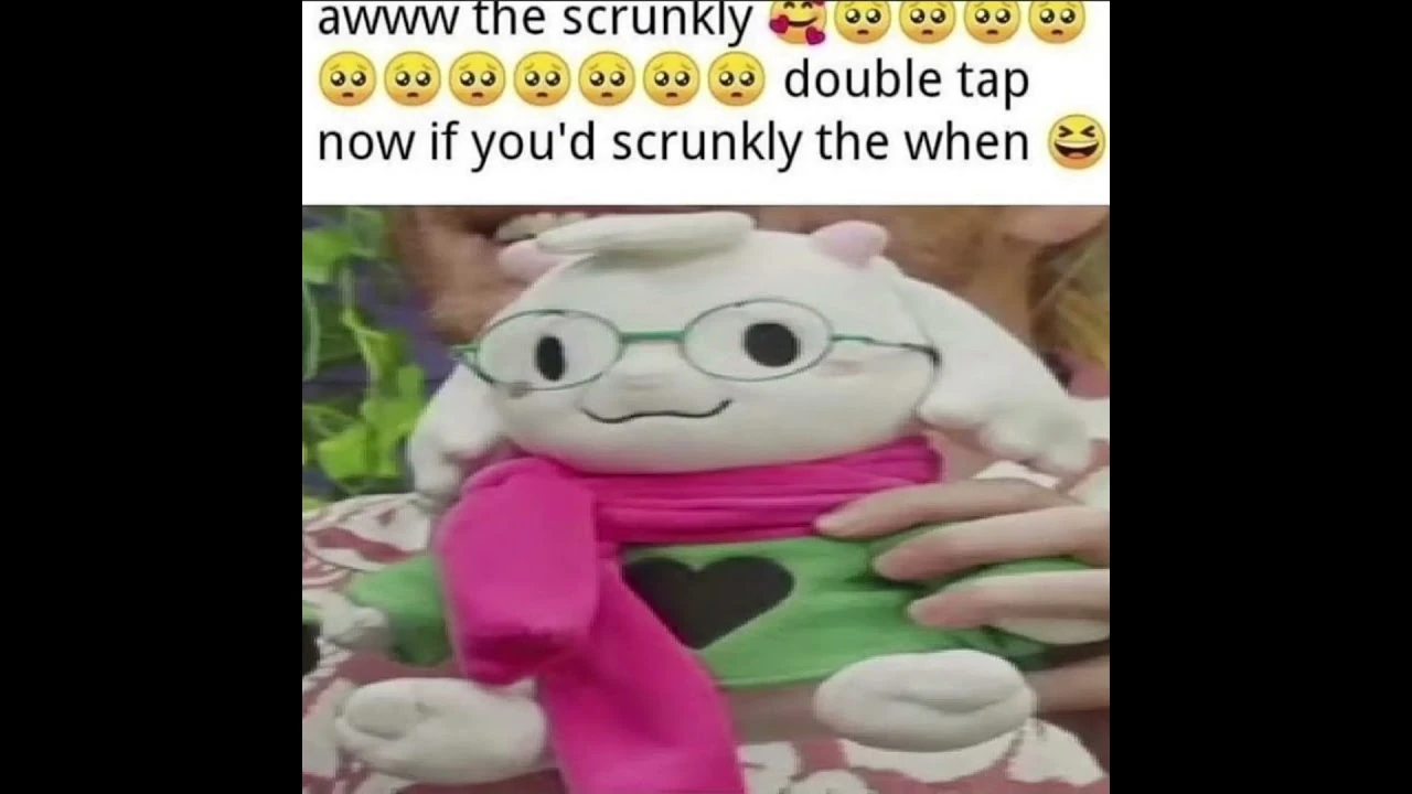 the scrunkly | Fandom