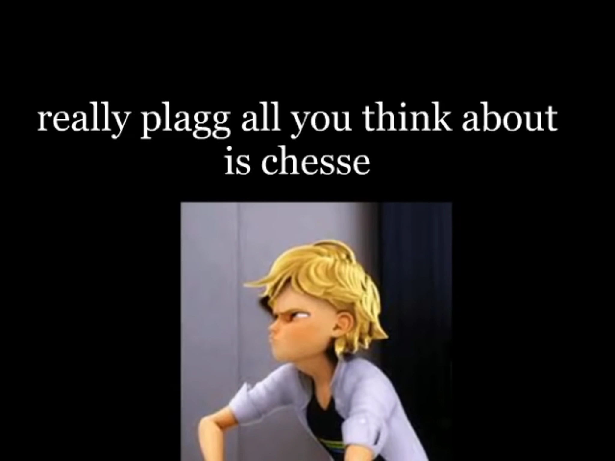 Aderaineet mircat | Fandom