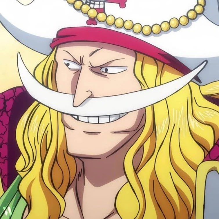 Discuss Everything About One Piece Encyclopédie | Fandom