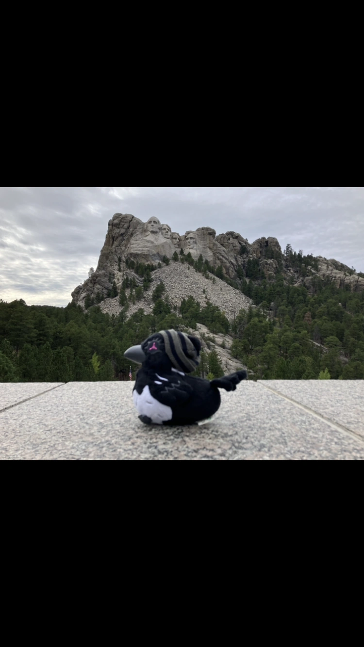 CROWZI DOORMAN AT MOUNT RUSHMORE | Fandom
