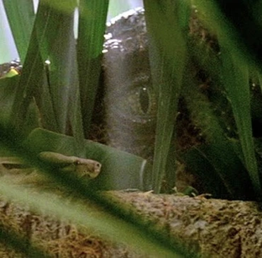 Blue vs The Big One | Fandom