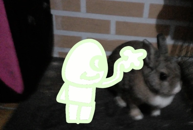 My bunny and Rob are Good Friends | Fandom