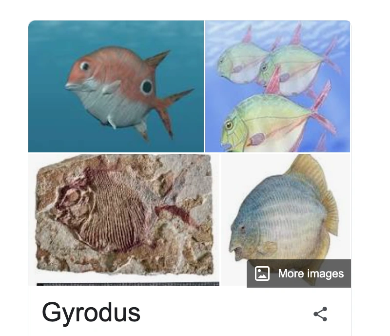 my favorite creature, gyrodus | Fandom