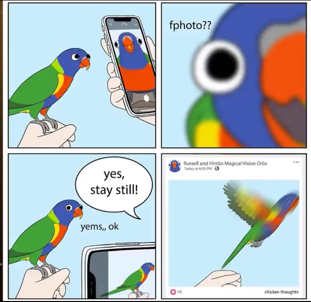 Birb | Fandom