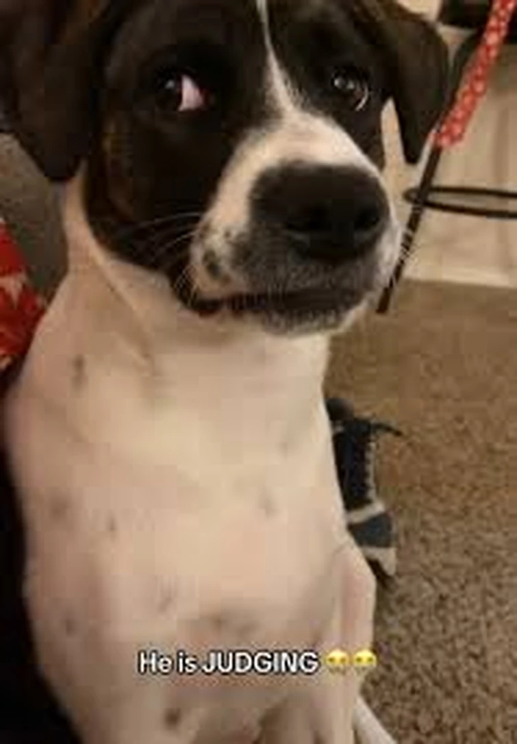 exposing myself | Fandom