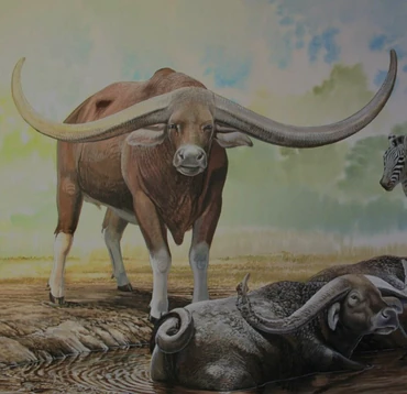 Dinopedia makes a Cenozoic Zoo game: Bovidae (top 2 get added) | Fandom