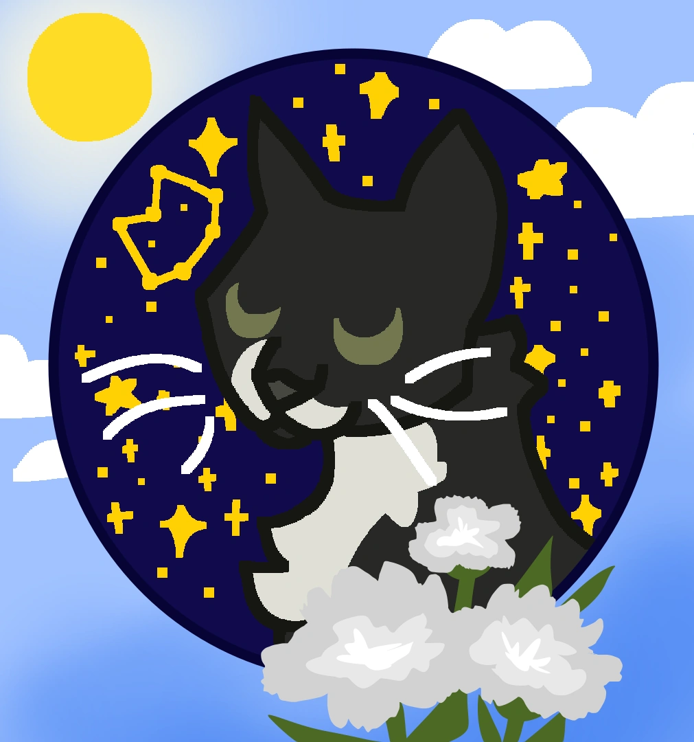 I Had A Cat Named Laura | Fandom