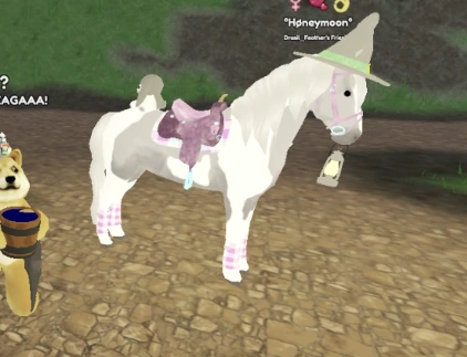 Rate this tack-set ^^ | Fandom