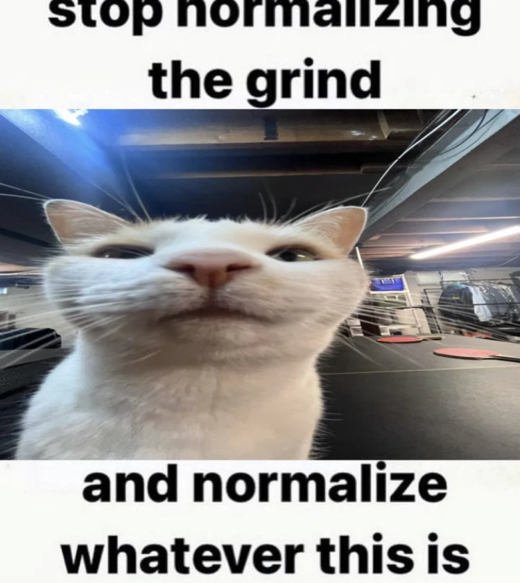 Silly cricket may be back 😛 | Fandom