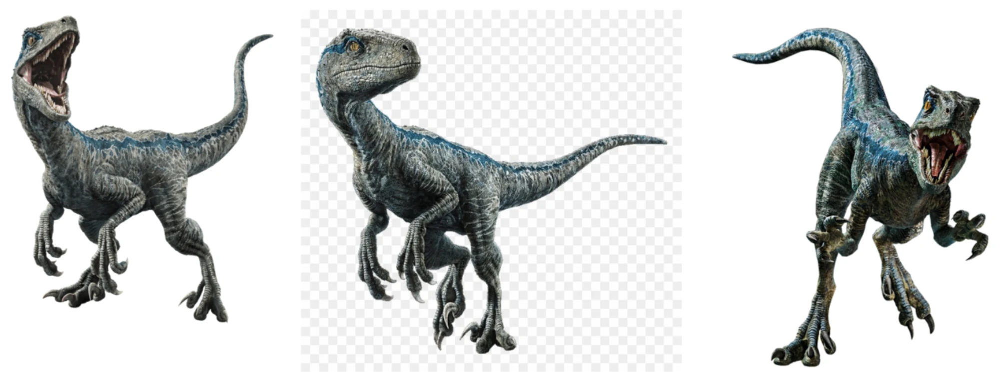 So I was making my Blue concept and… | Fandom