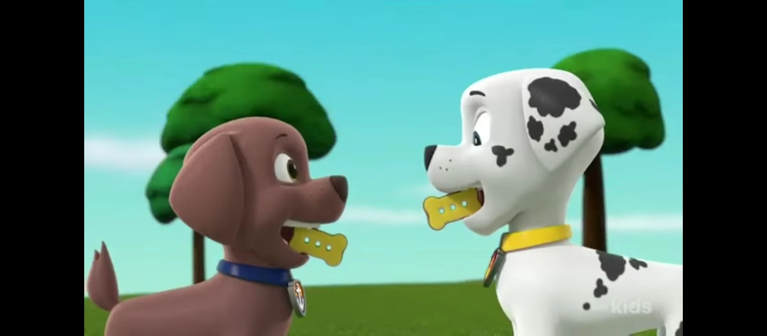 Zuma's favorite qualities | Fandom