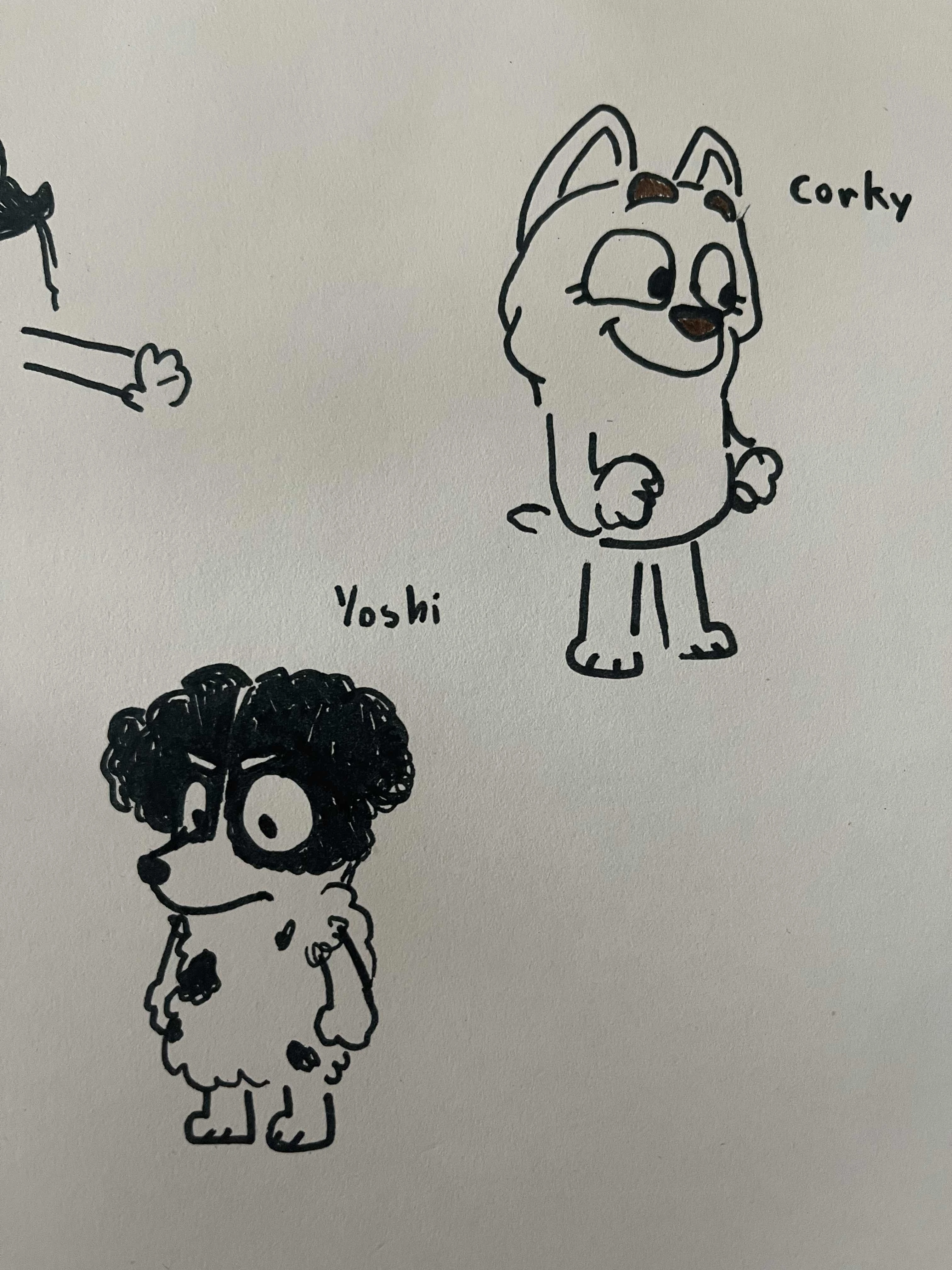 Drew two of my dogs as Bluey characters :) | Fandom