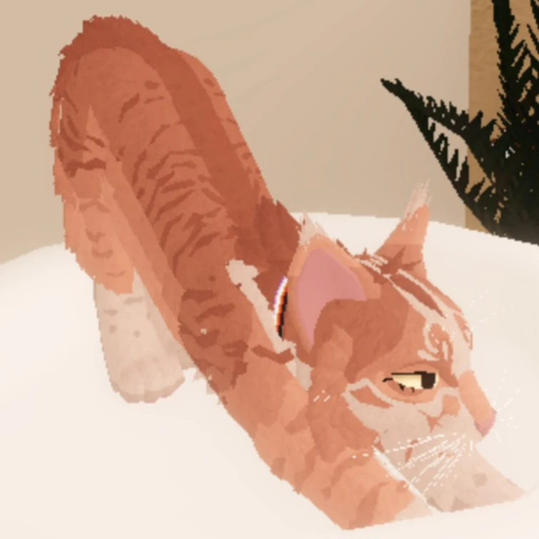 new morphs!! | Fandom