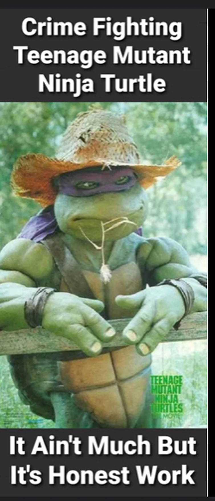 TMNT Meme Of The Day | Fandom