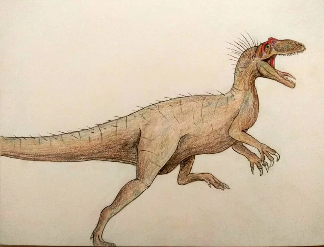 Australovenator :) | Fandom