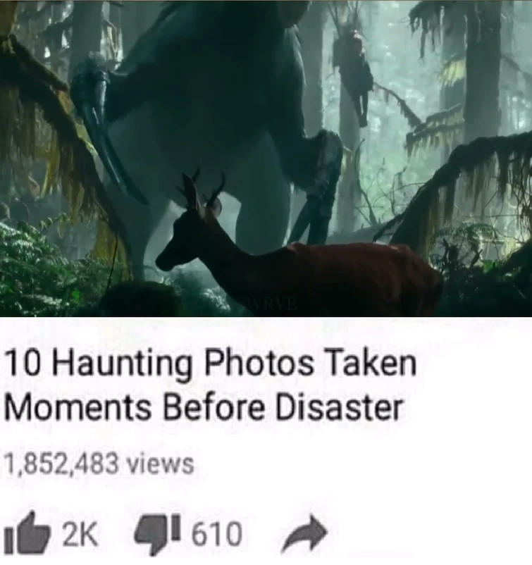 Large theropod Memes I've made | Fandom