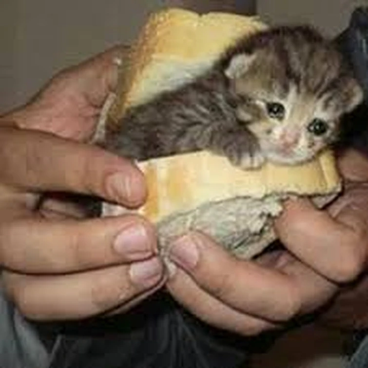 this is cringe (VERY MUCH CRINGE WARNING) | Fandom