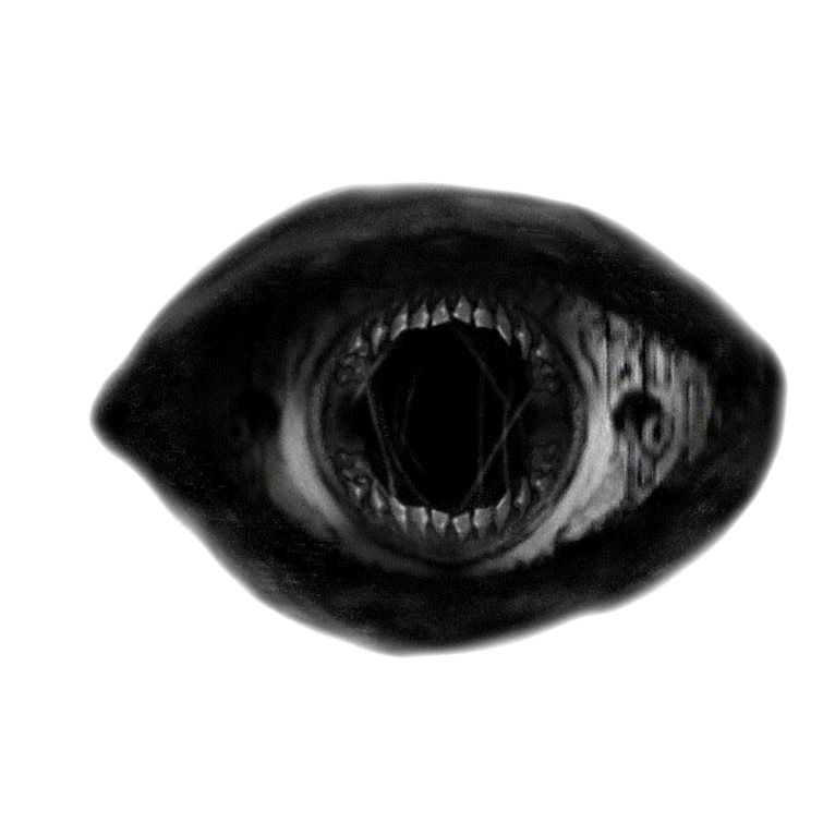 Pretty Accurate Crops | Fandom