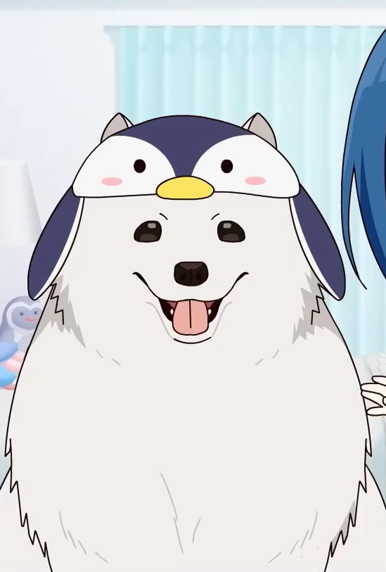 "Rui is best boy" "Tsukasa is best boy" "Toya is best boy" NO! SAMO ...