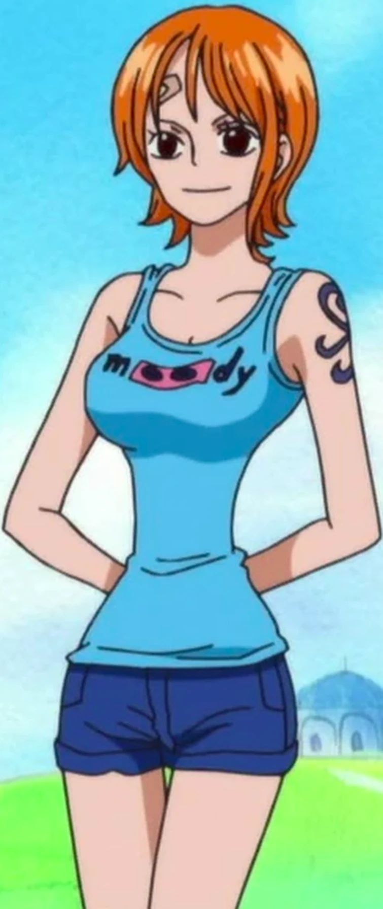 (Cat Burgler) The PTS Nami Experience | Fandom